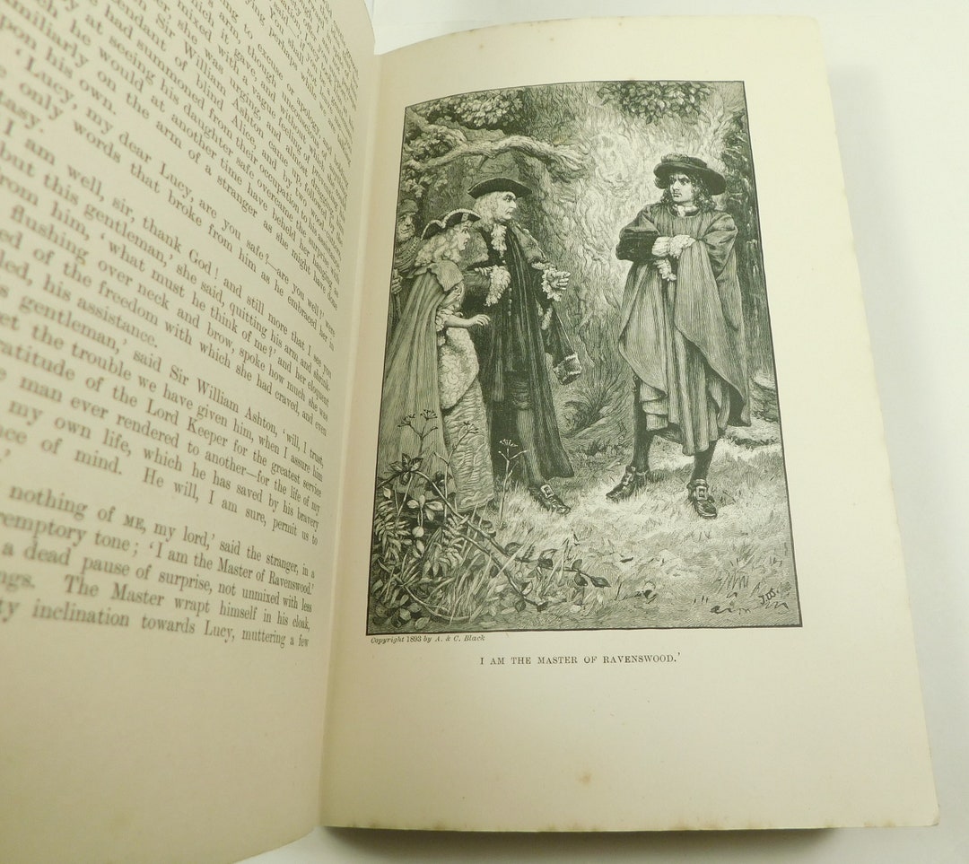 Birkbeck College Antique Victorian Book Walter Scott Waverley Bride ...