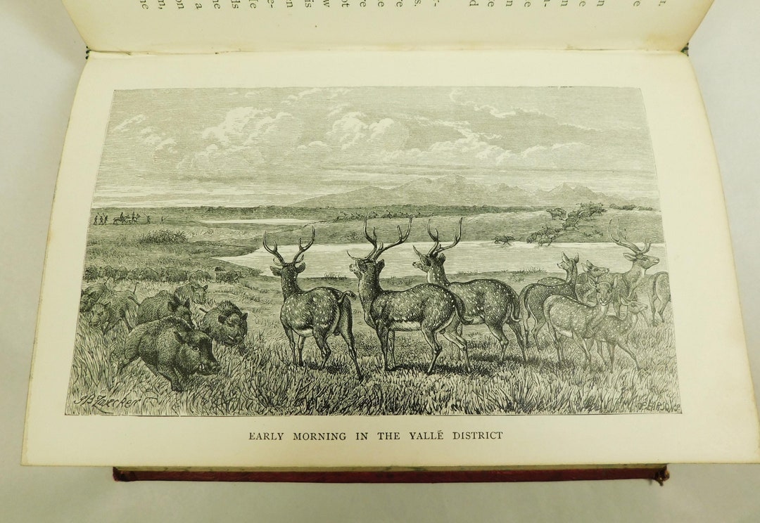 Antique Victorian Leather Hunting Book Rifle and the Hound in Ceylon ...