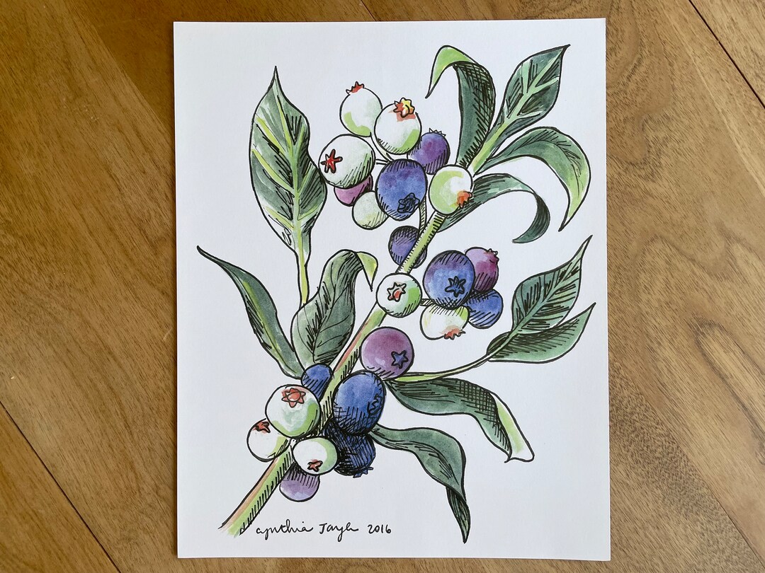 Blueberry Art Print, 8 X 10 Inches - Etsy