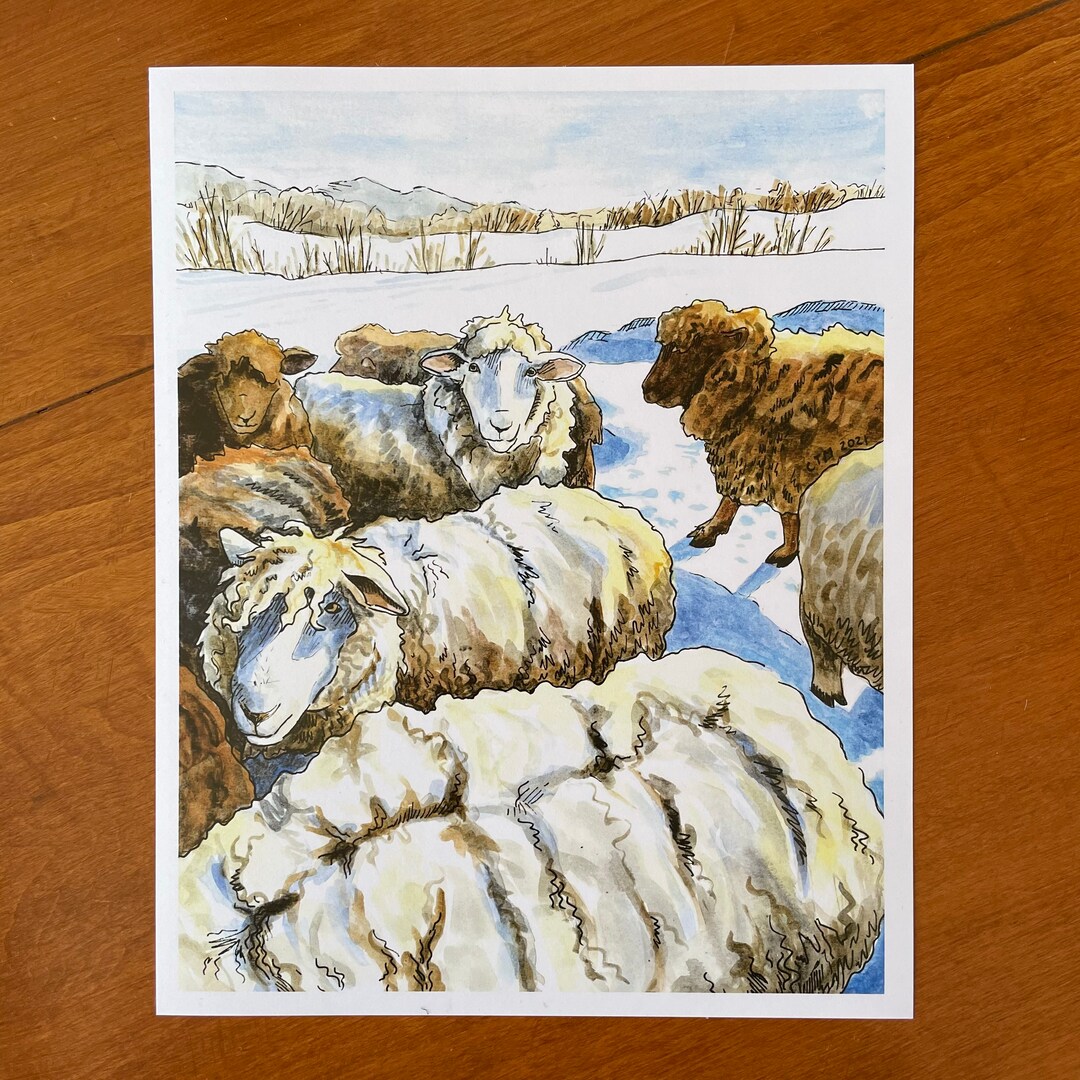 Romney Sheep Print - Etsy