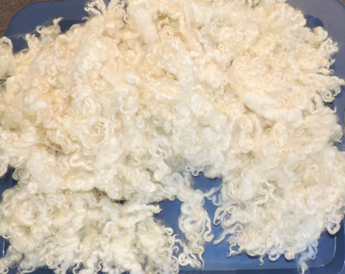 Gotland X Cotswold Curly Locks Natural White Washed Wool - Etsy