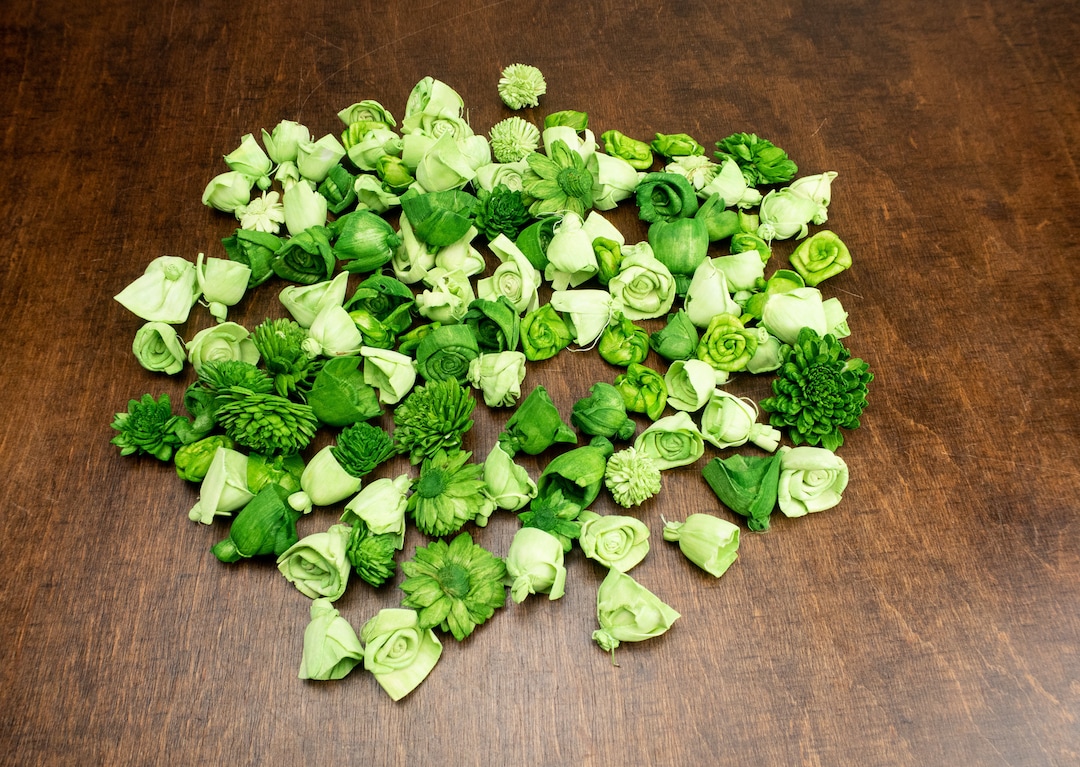 Potpourri Green Sola Flowers for Flower Girl Basket, Eco Friendly ...