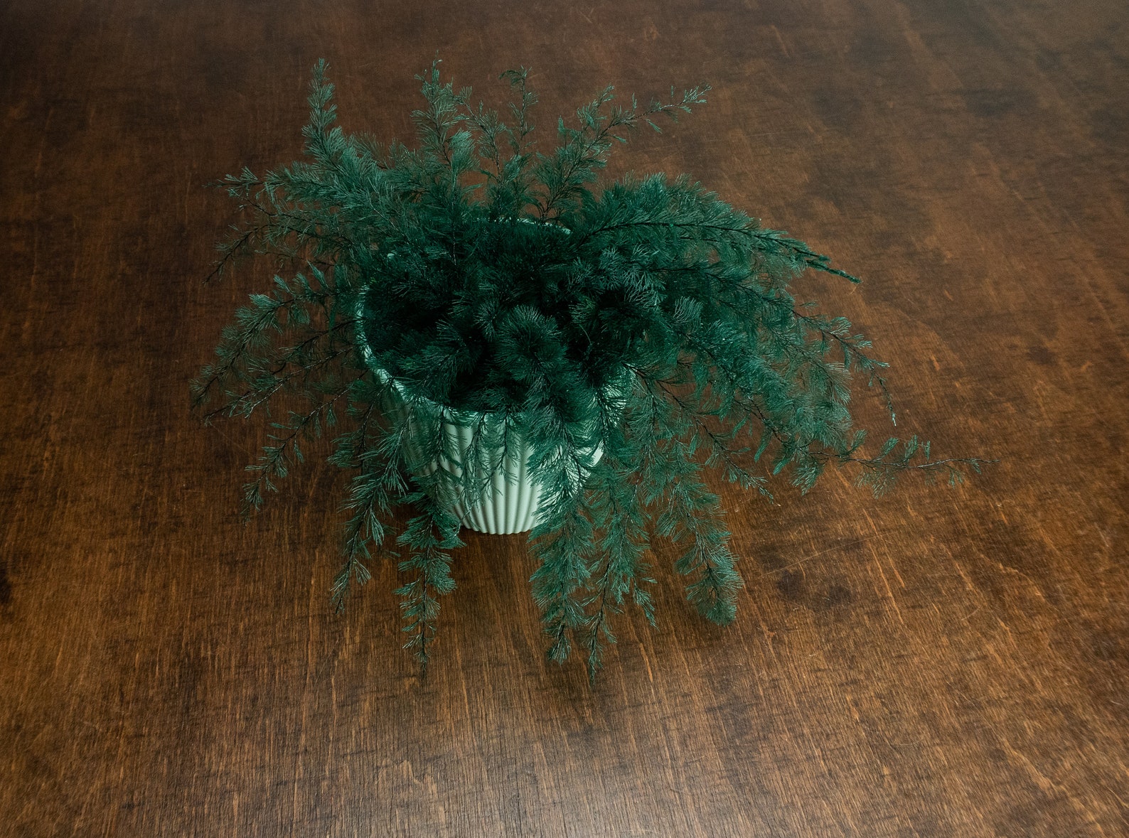 Real Preserved Pot Plant Office Eternal Plant Greenery - Etsy