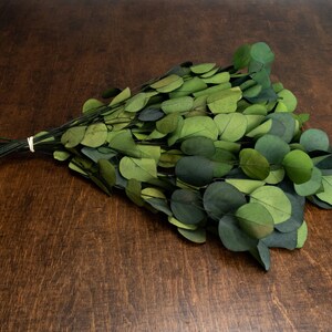 DIY Bouquet Preserved Green Eucalyptus Populous Bunch Leaves Craft ...