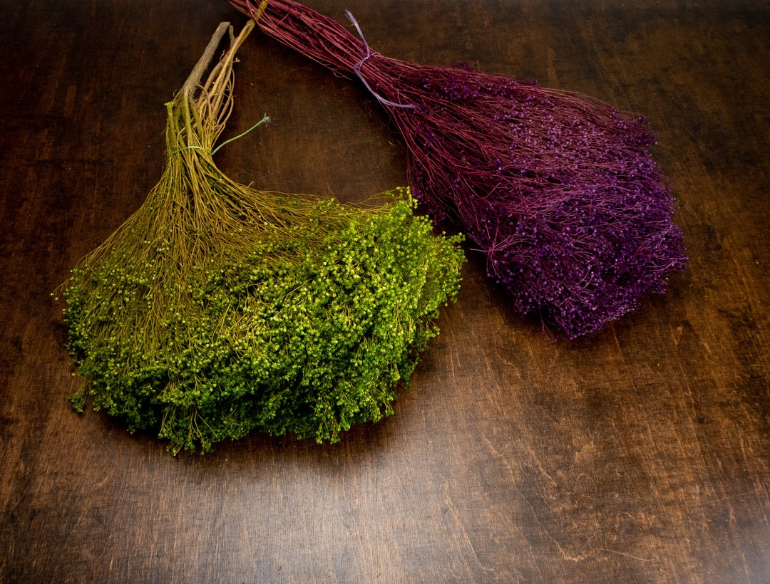 Dried Broom Bloom Bunch: DIY Floral Filler, Rustic Wedding Supply - Etsy