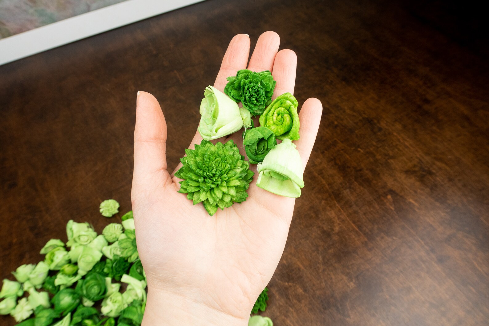 Potpourri Green Sola Flowers for Flower Girl Basket Eco - Etsy