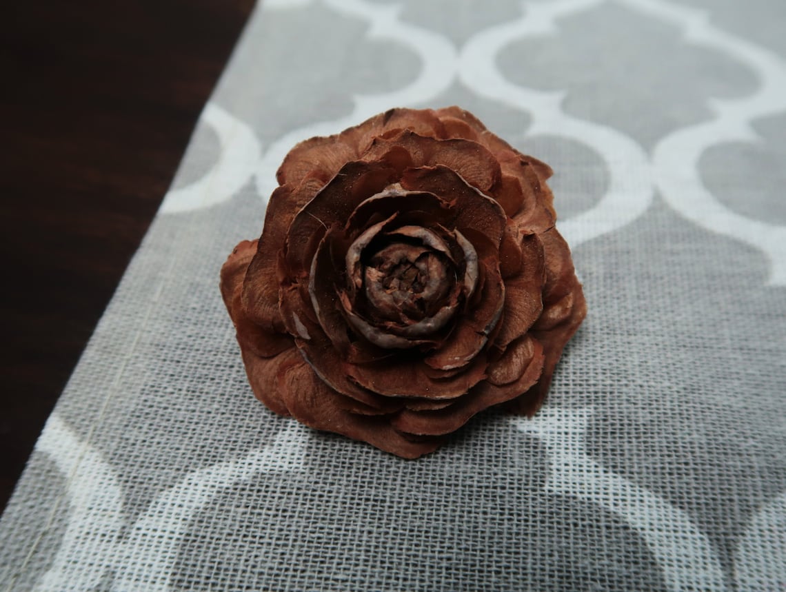 Cedar Rose Cone Wedding Flowers Brown Diy Bouquet Floristic | Etsy