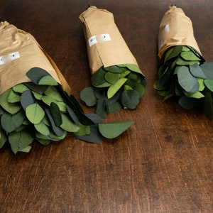 DIY Bouquet Preserved Green Eucalyptus Populous Bunch Leaves Craft ...