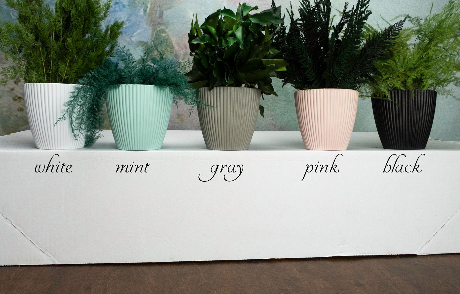 Real Preserved Pot Plant Office Eternal Plant Greenery - Etsy