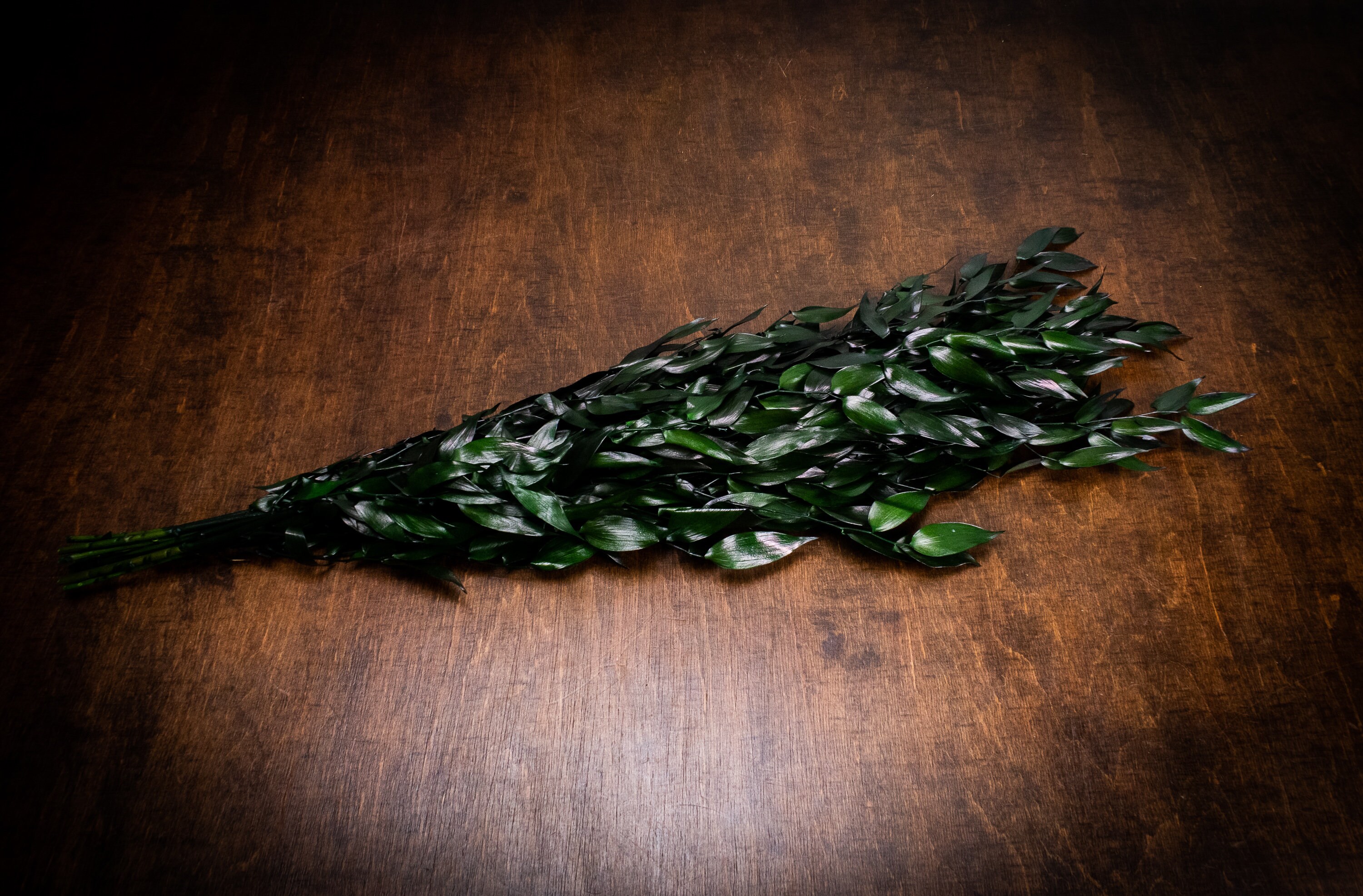 DIY bouquet preserved Italian Ruscus bunch preserved leaves | Etsy