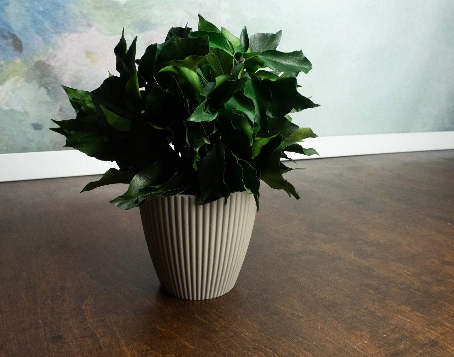 Real Preserved Pot Plant Office Eternal Plant Greenery - Etsy
