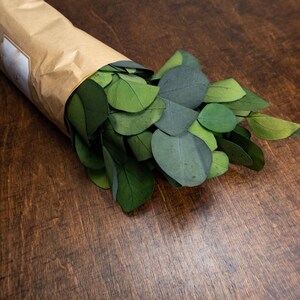 DIY Bouquet Preserved Green Eucalyptus Populous Bunch Leaves Craft ...