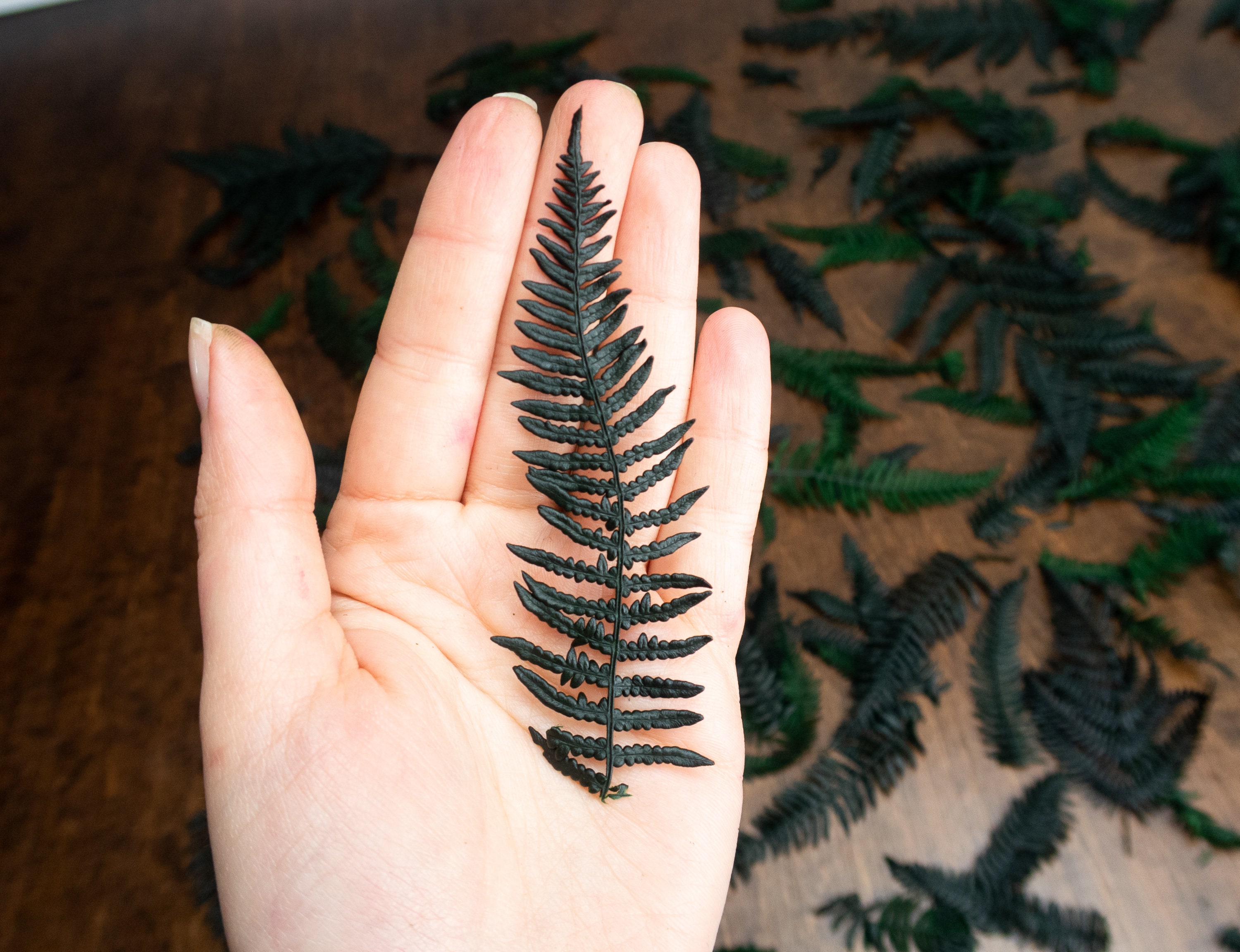 Preserved ferns mix table decor craft supply greenery DIY | Etsy