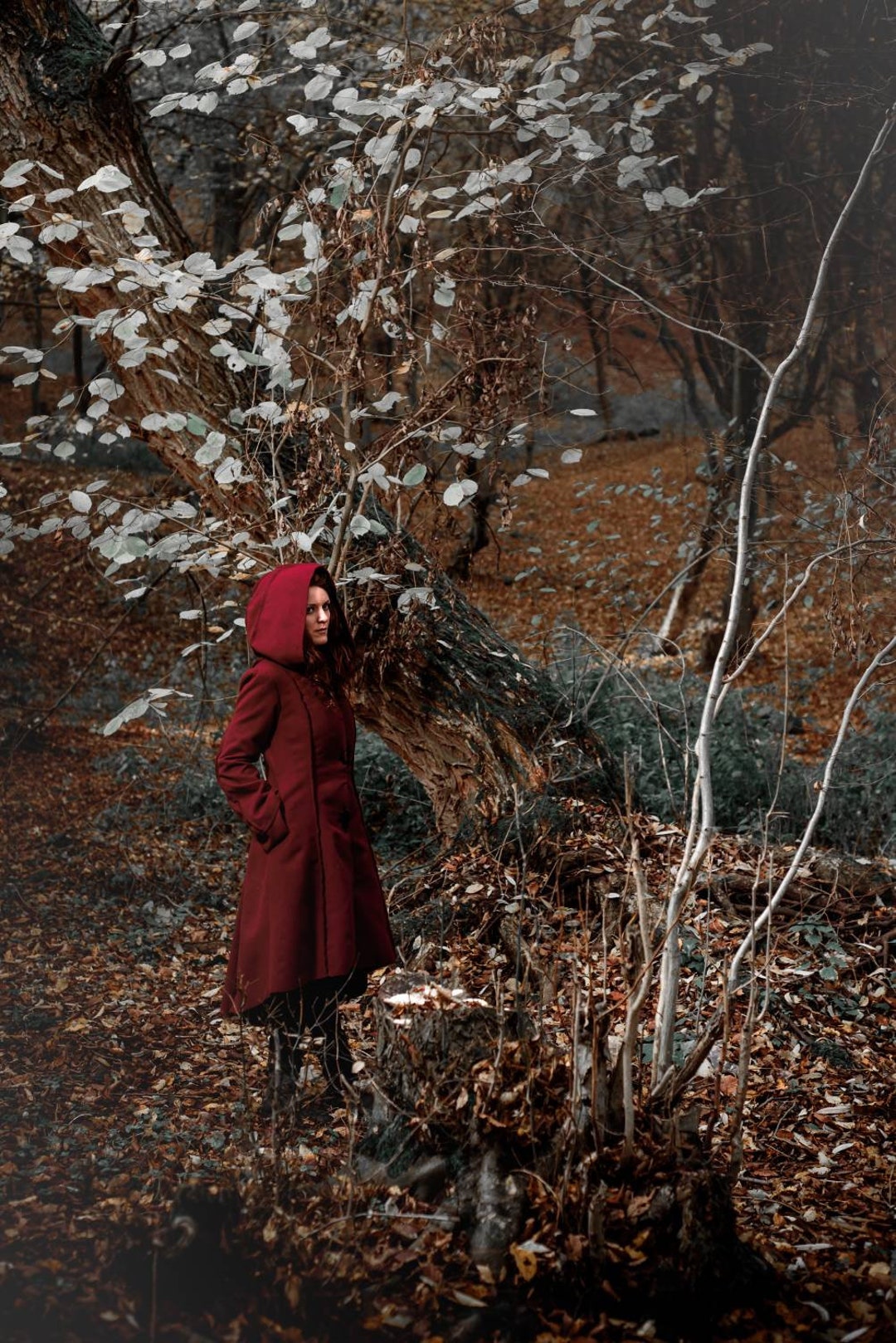 Redhood Winter Coat/ Fairytale Girl /fantasy Outfit/custom Boho /cold ...
