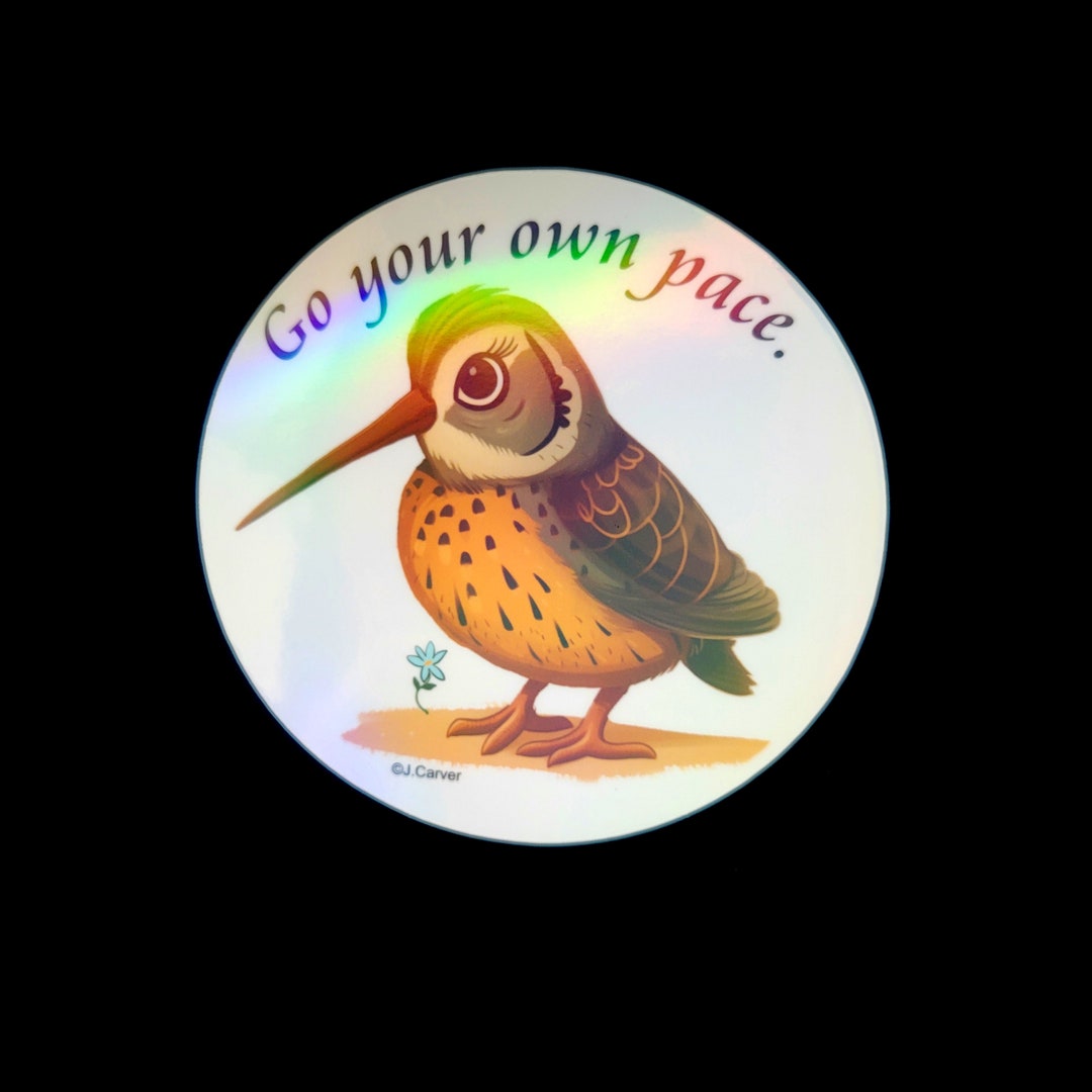 Go Your Own Pace Sticker /cute Meme / American Woodcock Holographic ...