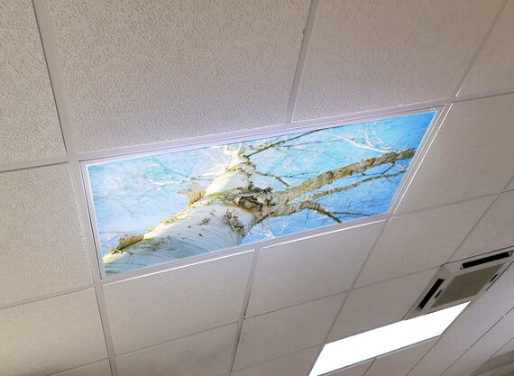 Lighting Flexible Fluorescent Light Cover Films Skylight Ceiling Office ...