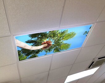 Lighting Flexible Fluorescent Light Cover Films Skylight Ceiling Office ...