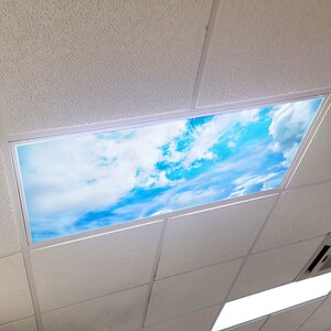 Lighting Flexible Fluorescent Light Cover Films Skylight Ceiling Office ...