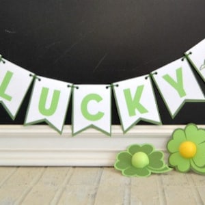 PDF: St. Patrick's Day Printable LUCKY Banner - Instant Download - Etsy