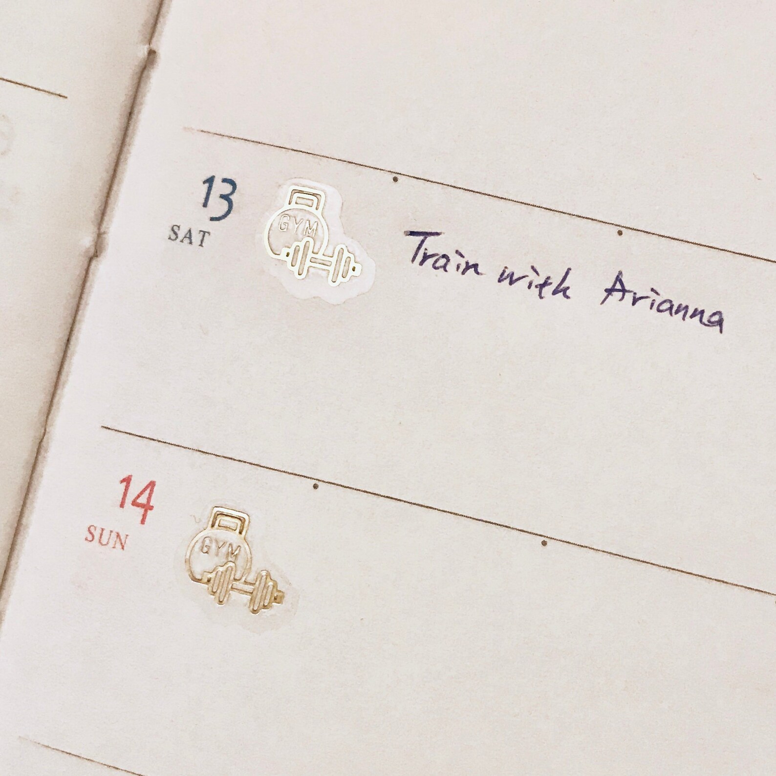 50 Gym Work Out Reminder Stickers | Fitness Stickers | Gym Icon Planner ...