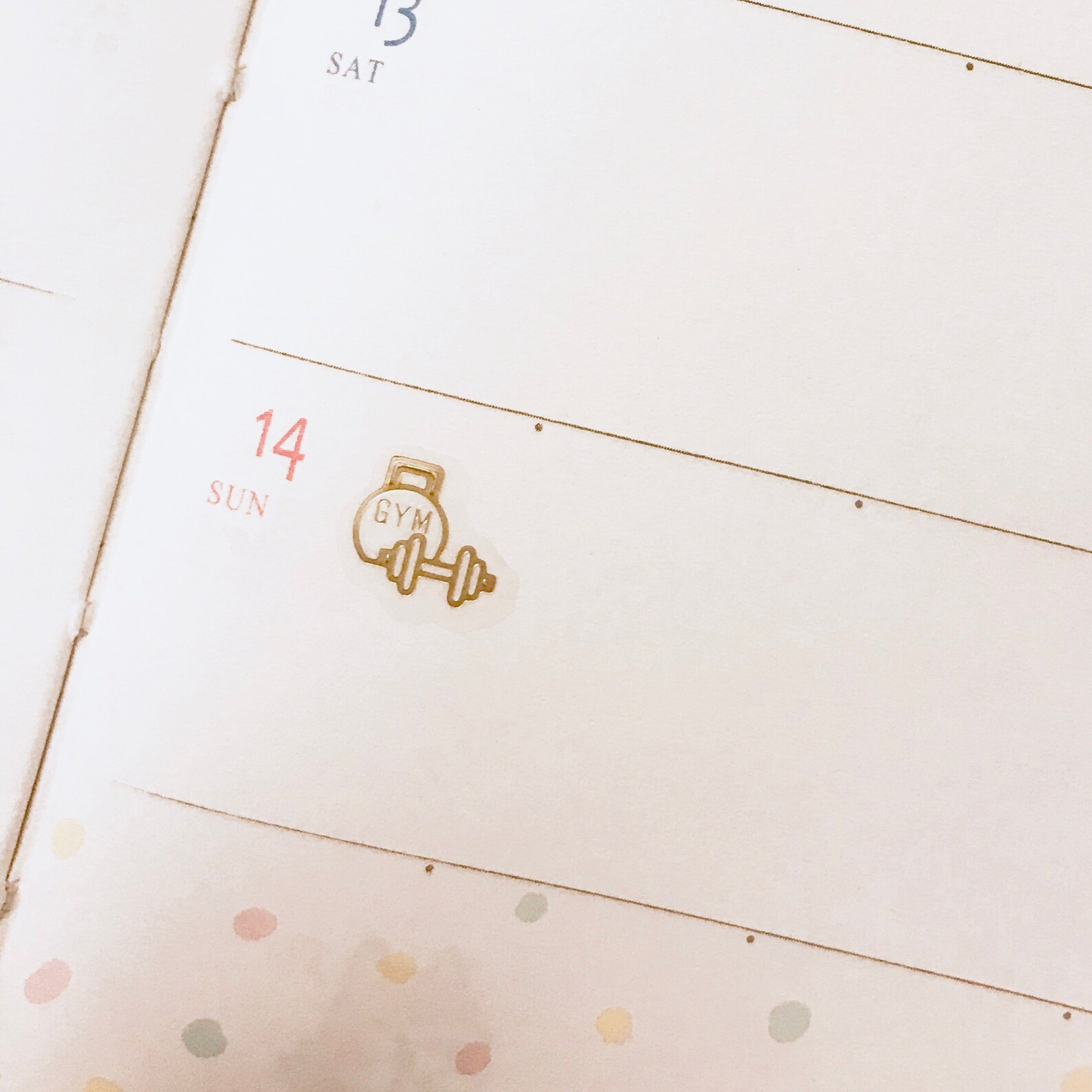 50 Gym Work Out Reminder Stickers | Fitness Stickers | Gym Icon Planner ...