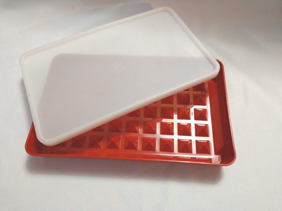 Vintage Tupperware #1292 Hot Dog Keeper / Bacon Storage Meat Tenderizer ...