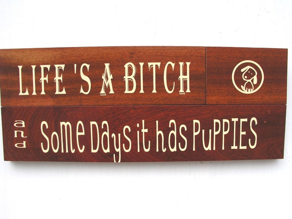 Snarky Sign Fun Signs Funny Quote Signs Wood Signs - Etsy