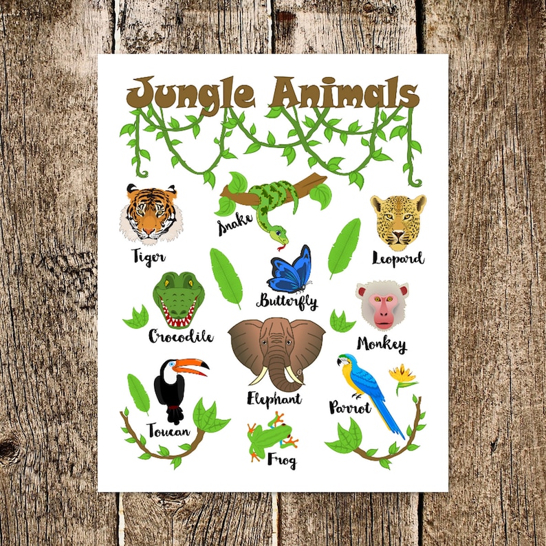 Jungle Animals Poster-printable Poster-jungle Poster-outdoor Adventure ...