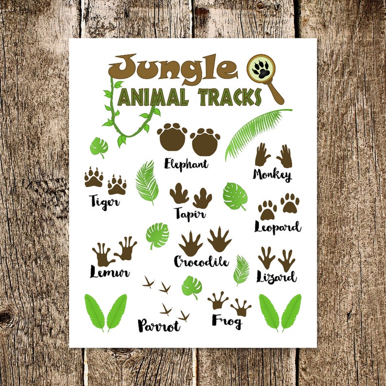 Printable Animal Tracks Print-jungle Animals Poster-outdoor Adventure ...