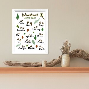 Printable Animal Tracks Poster-woodland Animals Print-outdoor Adventure ...