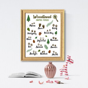 Printable Animal Tracks Poster-woodland Animals Print-outdoor Adventure ...