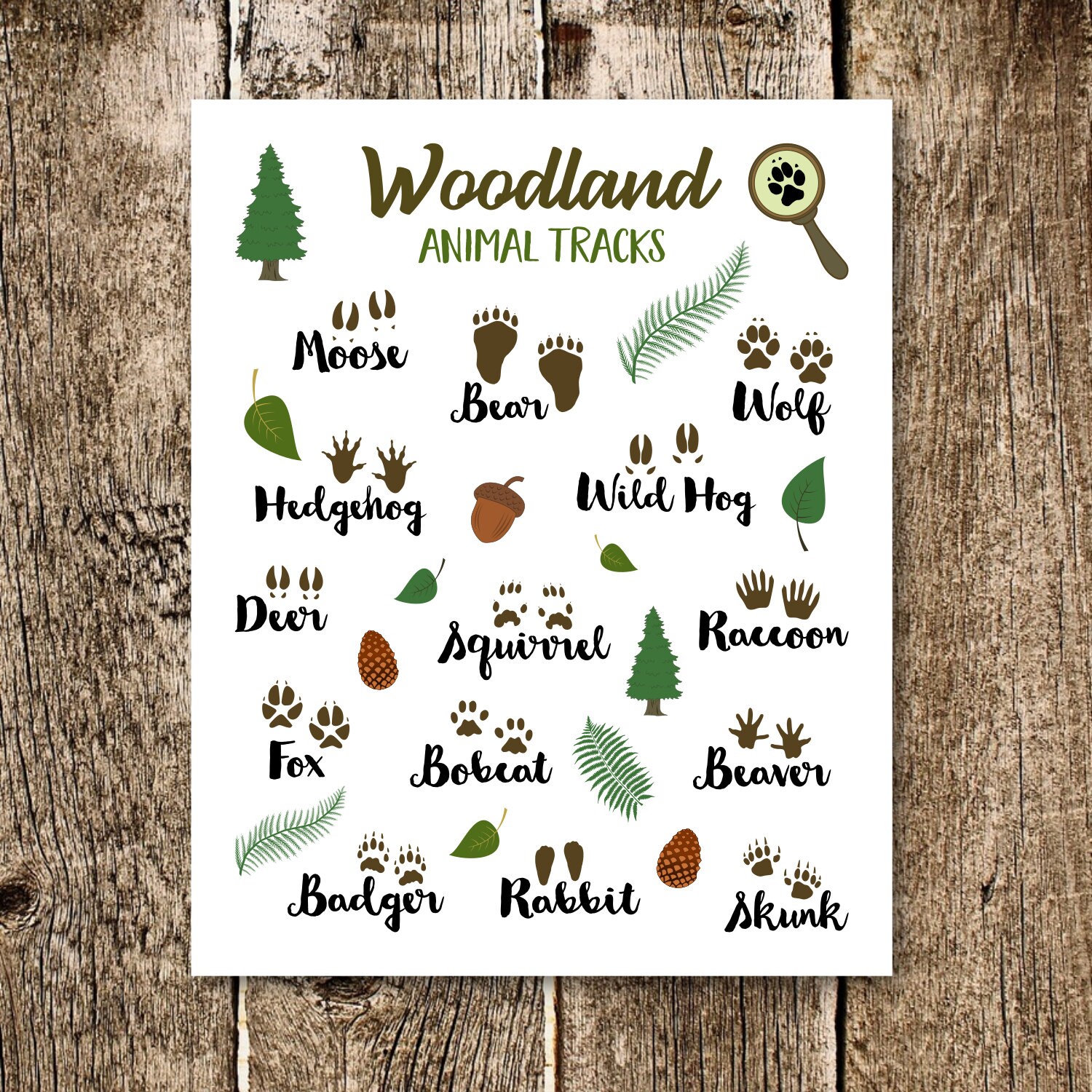 Printable Animal Tracks Poster-woodland Animals Print-outdoor | Etsy