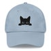 Cat Hat, Peeking Cat Hat, Cat Baseball Cap, Embroidered Hat, Gift for ...