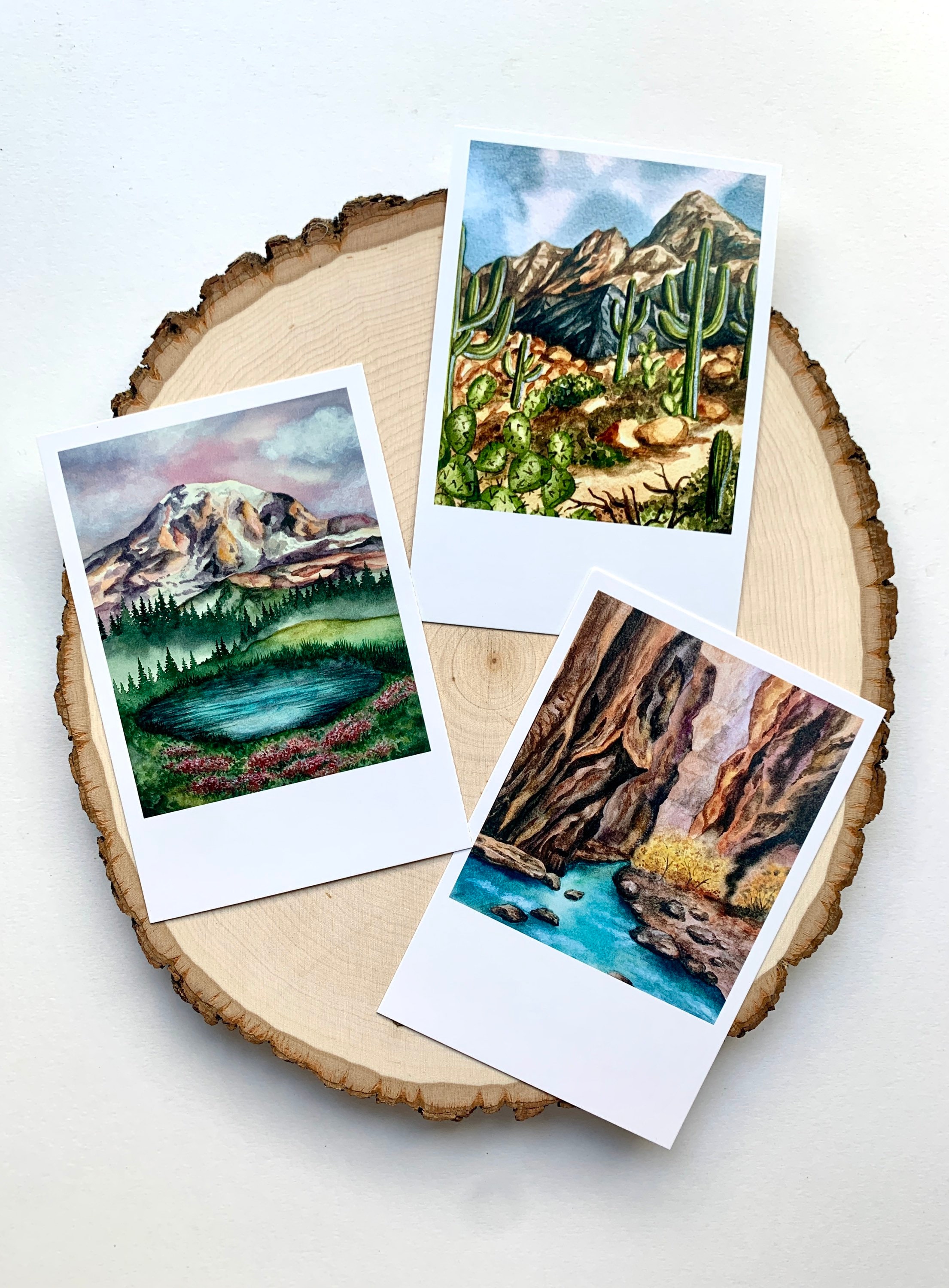 National Park Postcard Pack Rainier, Zion, & Saguaro - Etsy