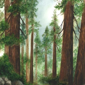 Sequoia National Park Art Print | Watercolor Landscape | California ...