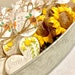 Today is A Good Day to Have A Good Day- Printable Tags- Cookie Tags ...