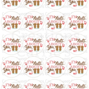 I'm Nuts About You Printable Tag- Gift Tag- Cookie Tag- Valentine's Day ...
