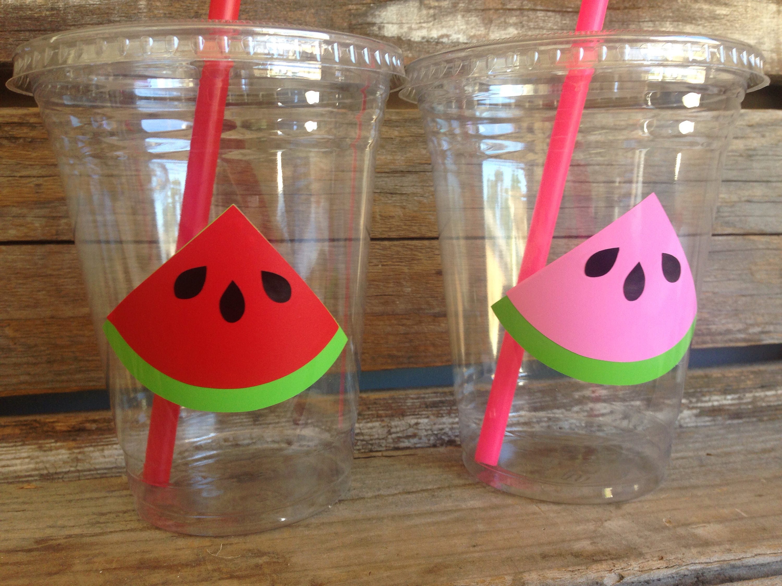 Watermelon Party Cups Watermelon Cups One In A Melon First | Etsy