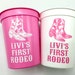 Cowgirl First Rodeo Birthday Cups, First Rodeo Party Cups, Personalized ...
