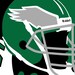 Philadelphia Randall Cunningham Portrait Sports Print Art 11x17 - Etsy