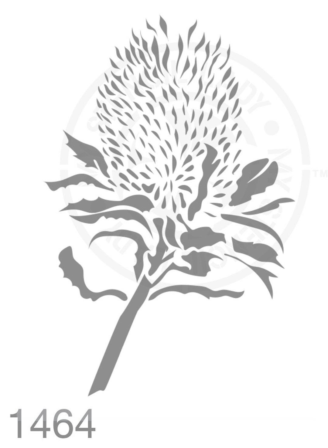 Banksia Wildflowers Stencil 1464 Design Australian Reusable Art, Craft ...
