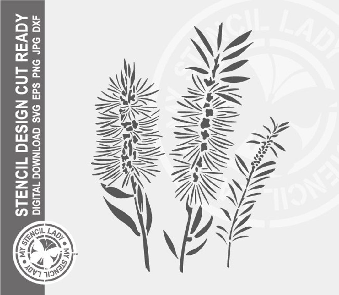 Bottlebrush 1477 Stencil Digital Download Laser Cricut Cut Ready Design ...