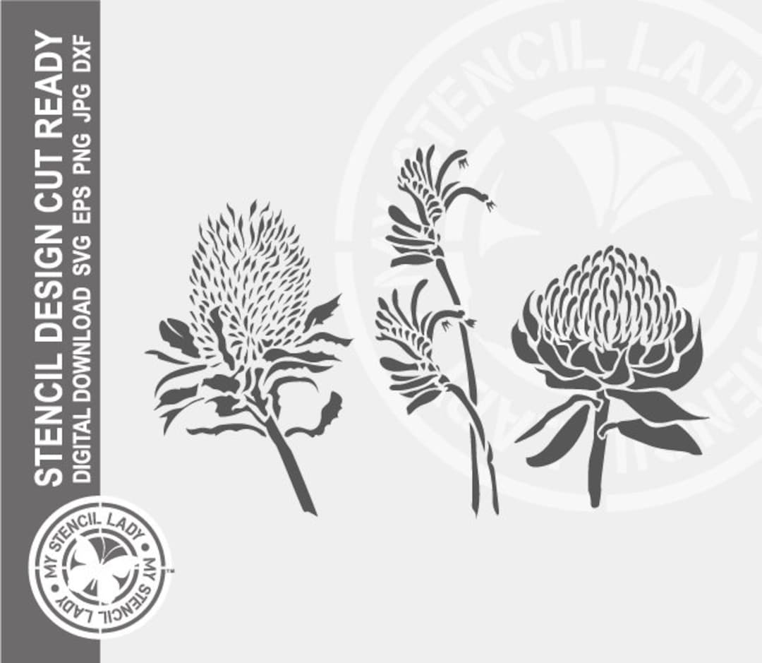 Native Australian Banksia, Kangaroo Paw, Warratah Flowers Hand Drawn ...