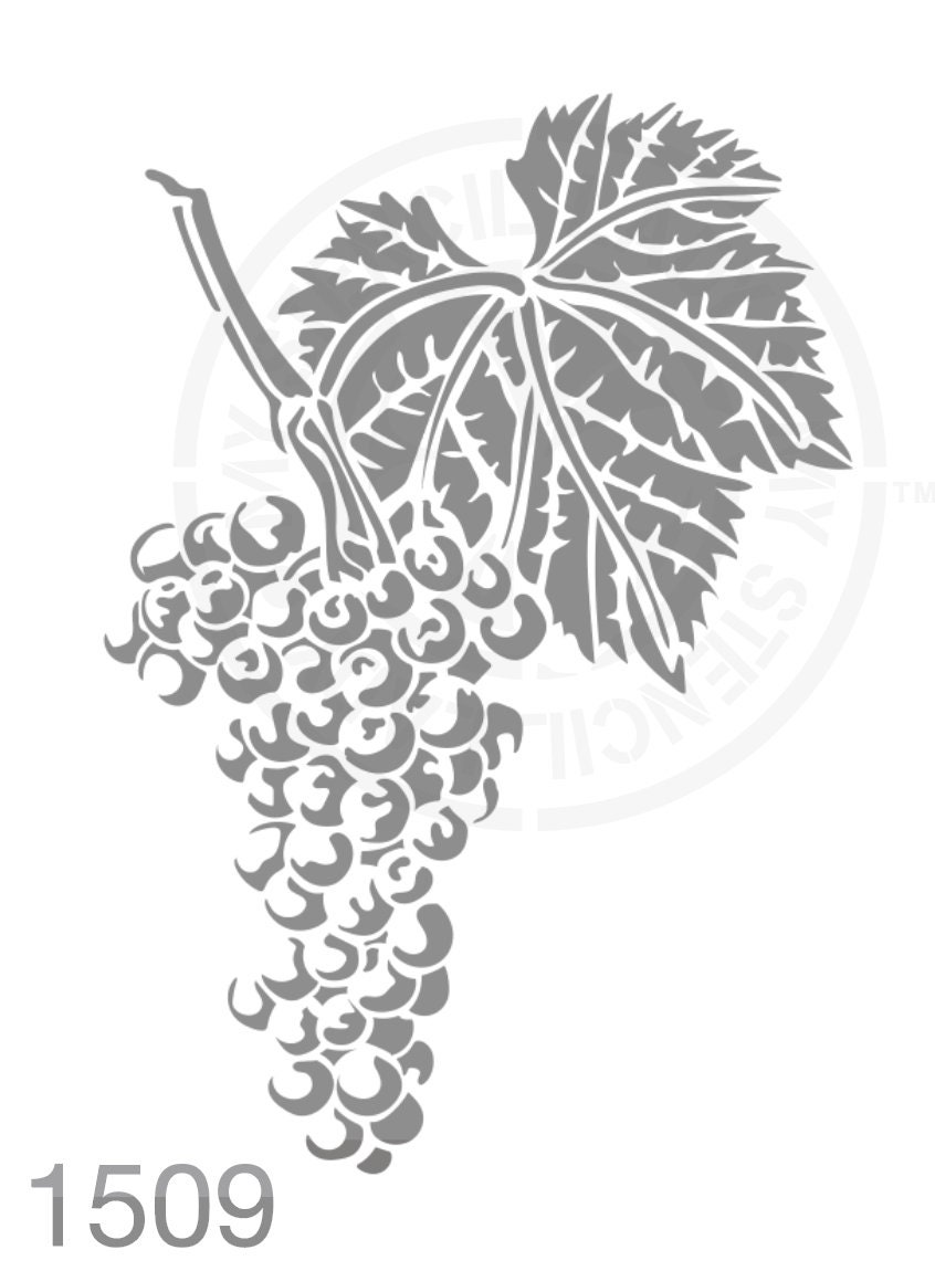 Grapes Vine Stencil 1509 Design Reusable Mylar Painting and Cake ...