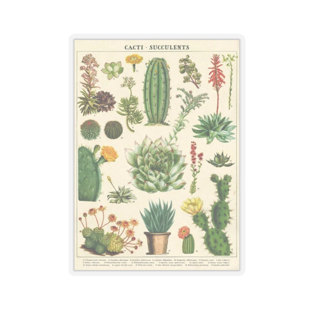 Cacti Sticker Cottagecore Forestcore Whimsical Dark - Etsy