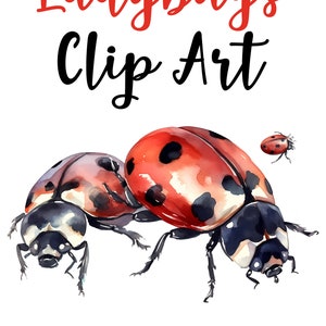 Ladybug Clip Art, Watercolor Art - Etsy