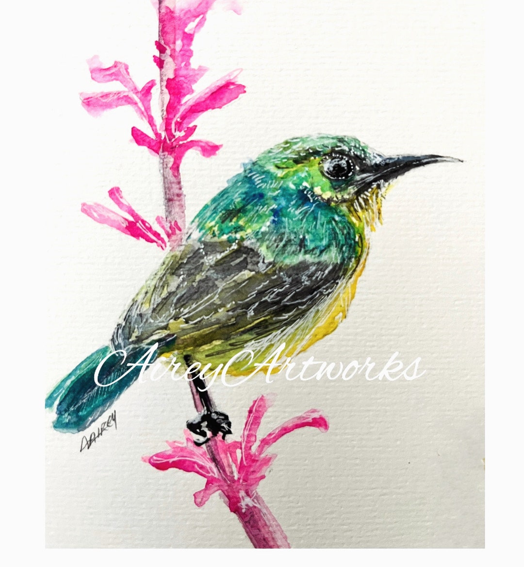 Single Art Card/sunbird Watercolour Print/sunbird Watercolor Card - Etsy