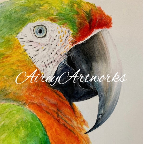Macaw Painting Original - Etsy