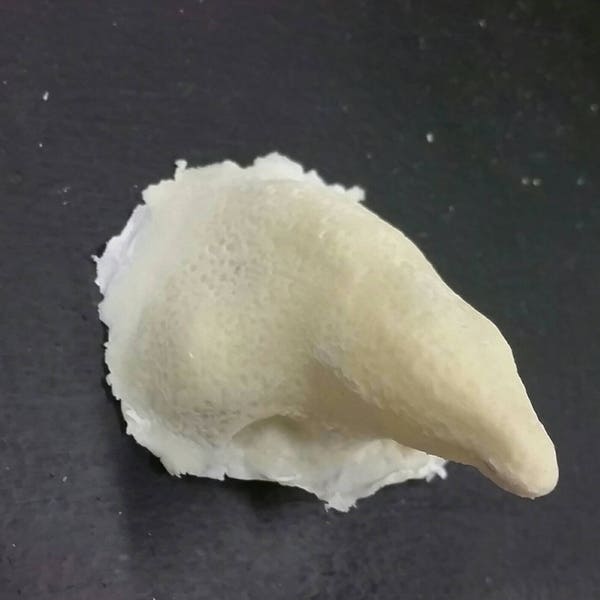 Gru Nose - Etsy