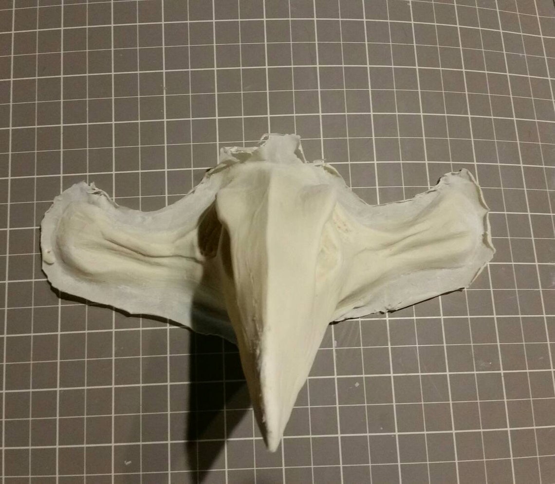 Bird Bone Beak Prosthetic (slip Latex) - Etsy